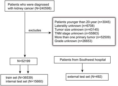 Frontiers | Using machine learning to predict lymph node metastasis in patients with renal cell ...